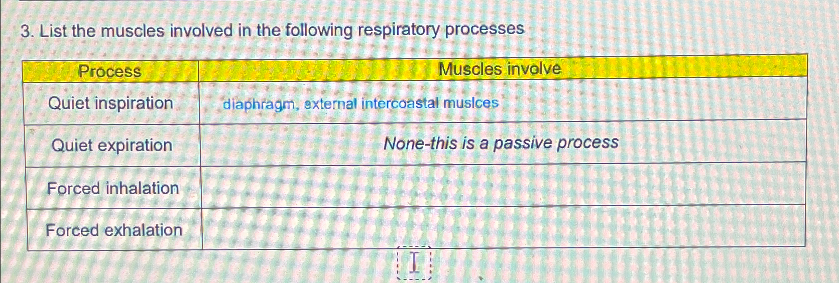 Solved List the muscles involved in the following | Chegg.com
