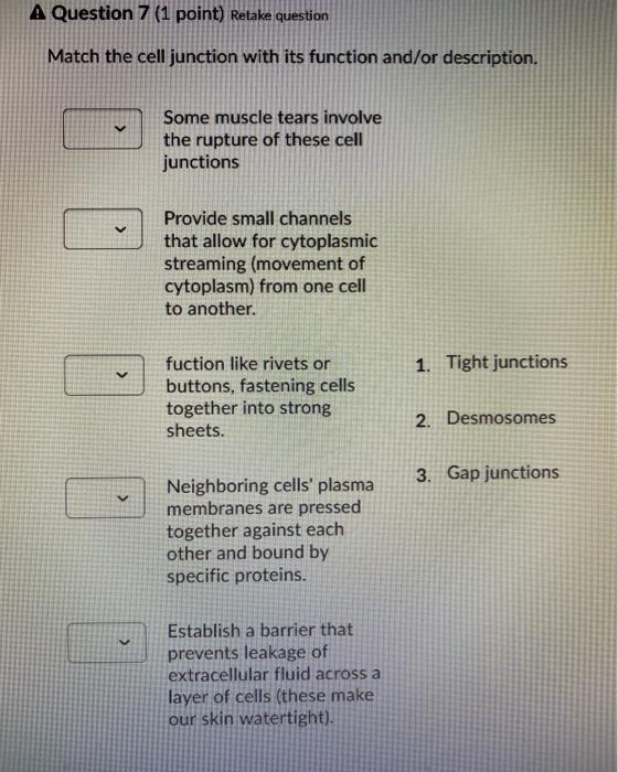 Solved A Question 7 (1 point) Retake question Match the cell | Chegg.com