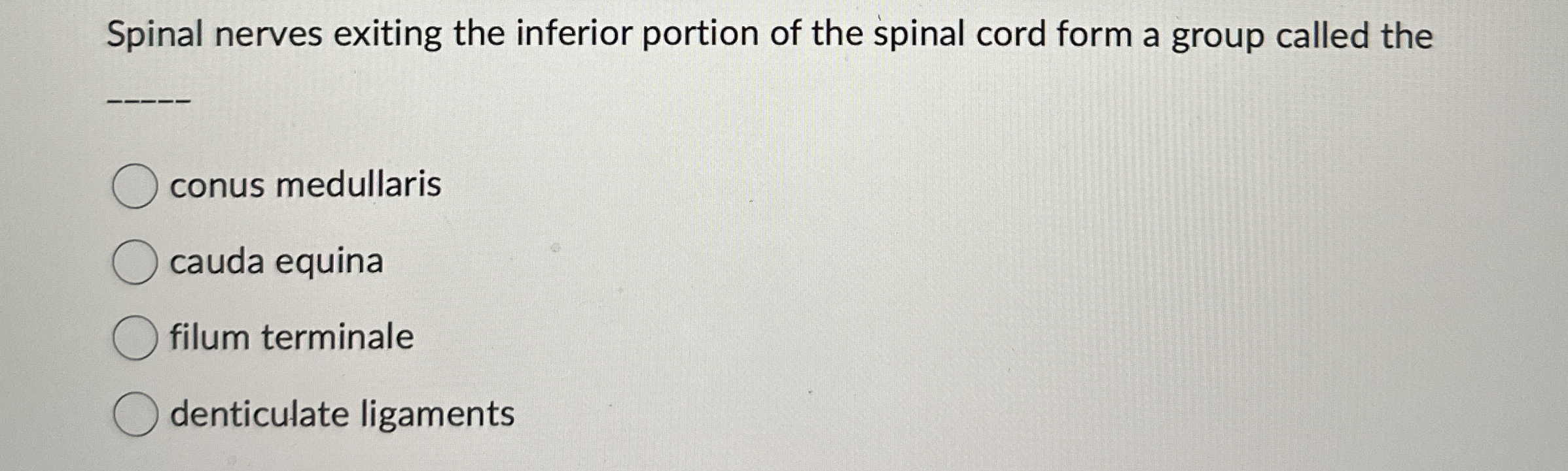 Solved Spinal nerves exiting the inferior portion of the | Chegg.com