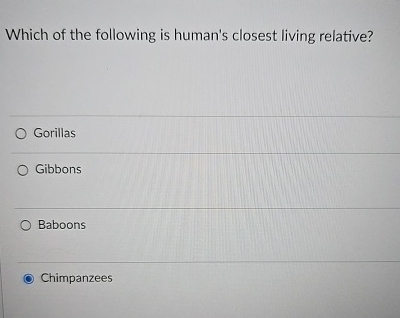Solved Which of the following is human's closest living | Chegg.com