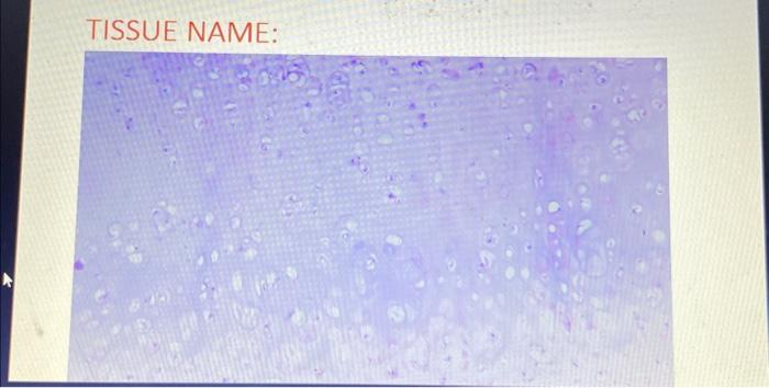 TISSUE NAME: TISSUE NAME: | Chegg.com