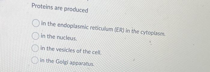 Solved Proteins are produced in the endoplasmic reticulum | Chegg.com
