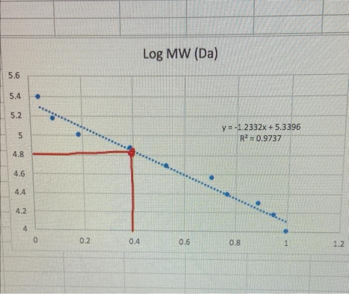 Solved When calculating the estimated molecular weight for | Chegg.com