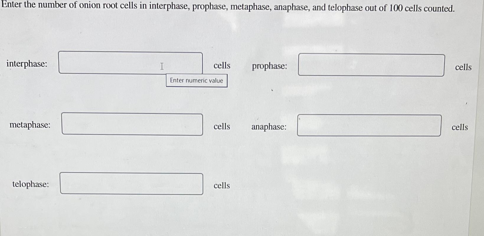 Enter the number of onion root cells in interphase, | Chegg.com