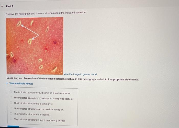 Solved Part A Observe the micrograph and draw conclusions | Chegg.com