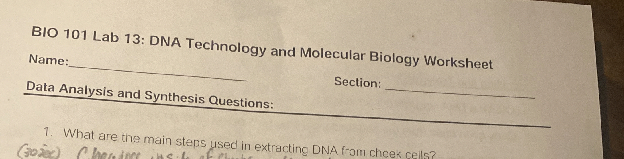 Solved BIO 101 ﻿Lab 13: DNA Technology and Molecular Biology | Chegg.com