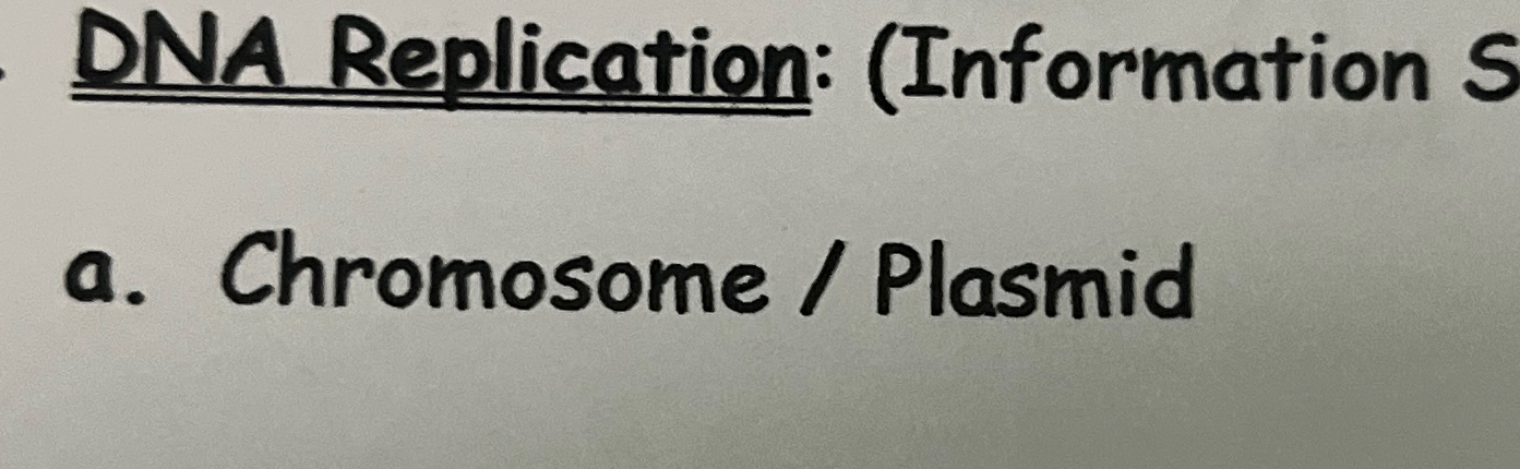 Solved DNA Replication: (Information Sa. ﻿Chromosome / | Chegg.com