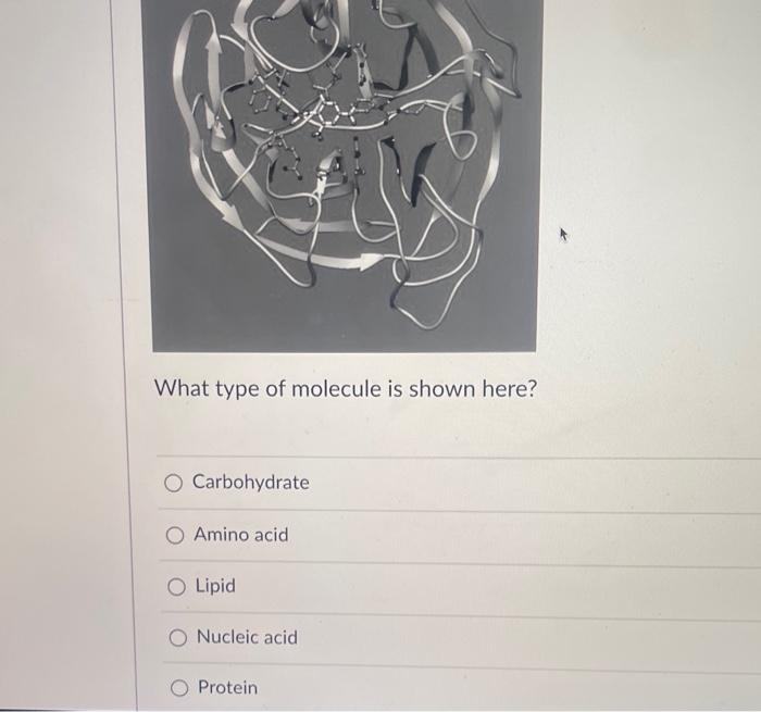 Solved What type of molecule is shown here? Carbohydrate | Chegg.com