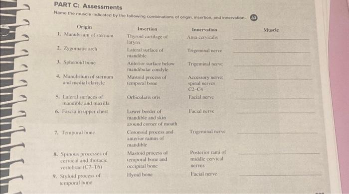 PART C: Assessments Name the muscle indicated by the | Chegg.com