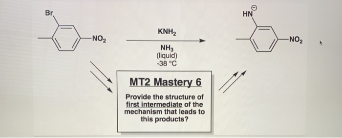 Solved mo KNH2 -NO2 – NO2 NH3 (liquid) -38 °C MT2 Mastery 6 | Chegg.com
