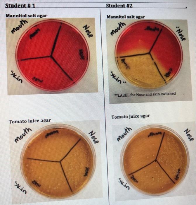 split in half cor student 1 and student 2 and fill | Chegg.com