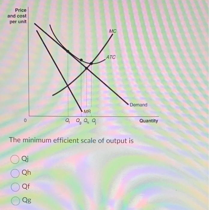 Solved The minimum efficient scale of output is Qj Qh Qf Qg | Chegg.com
