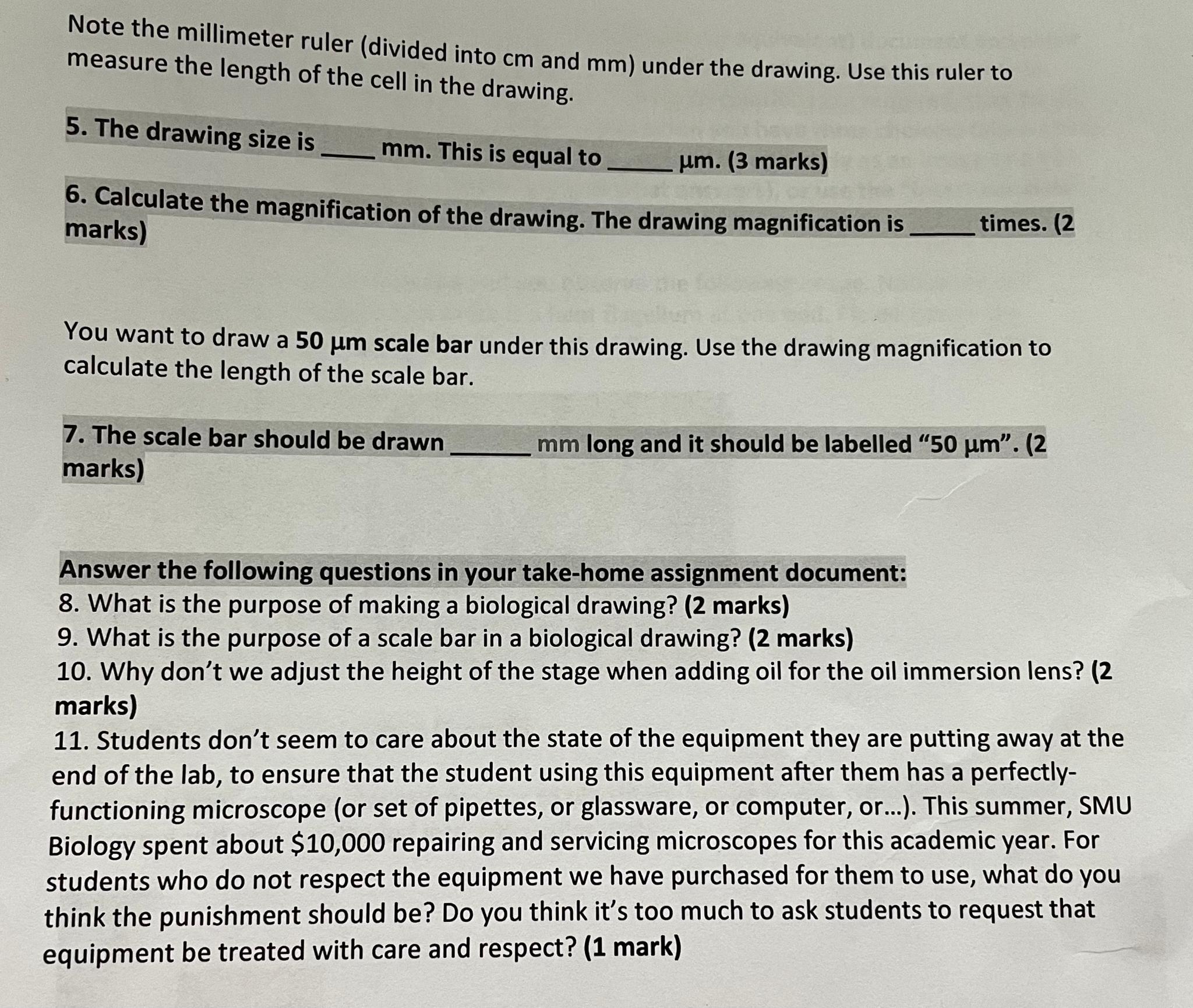 Solved Note the millimeter ruler (divided into cm ﻿and mm ) | Chegg.com