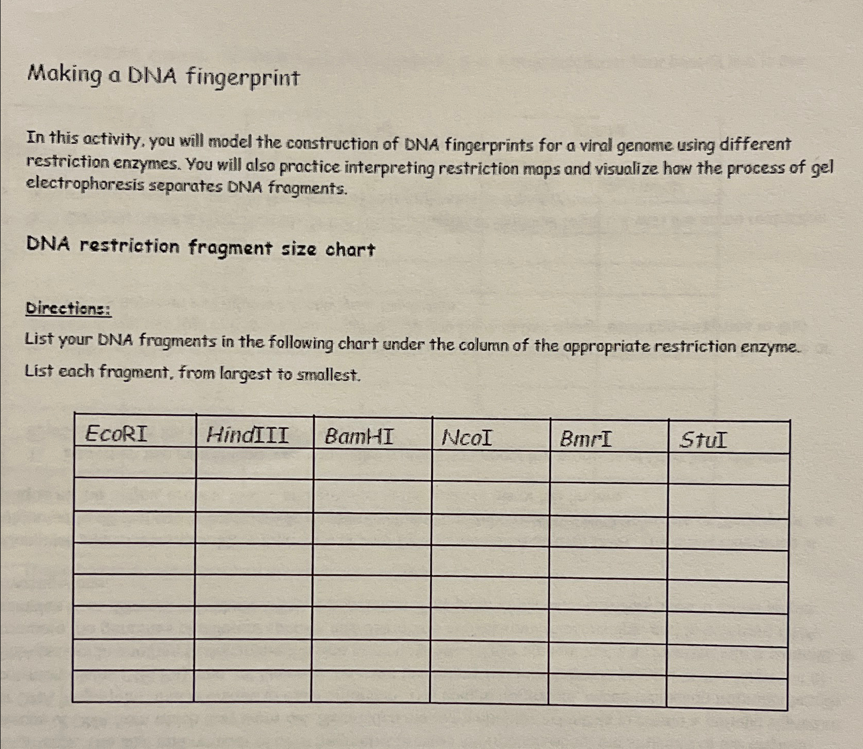 Making a DNA fingerprintIn this activity, you will | Chegg.com