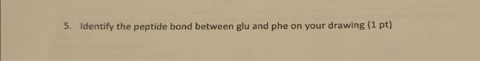 Solved 5. Identify the peptide bond between glu and phe on | Chegg.com