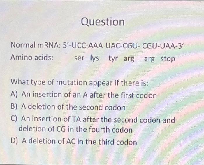 Solved Normal mRNA: 5'-UCC-AAA-UAC-CGU-CGU-UAA-3' Amino | Chegg.com