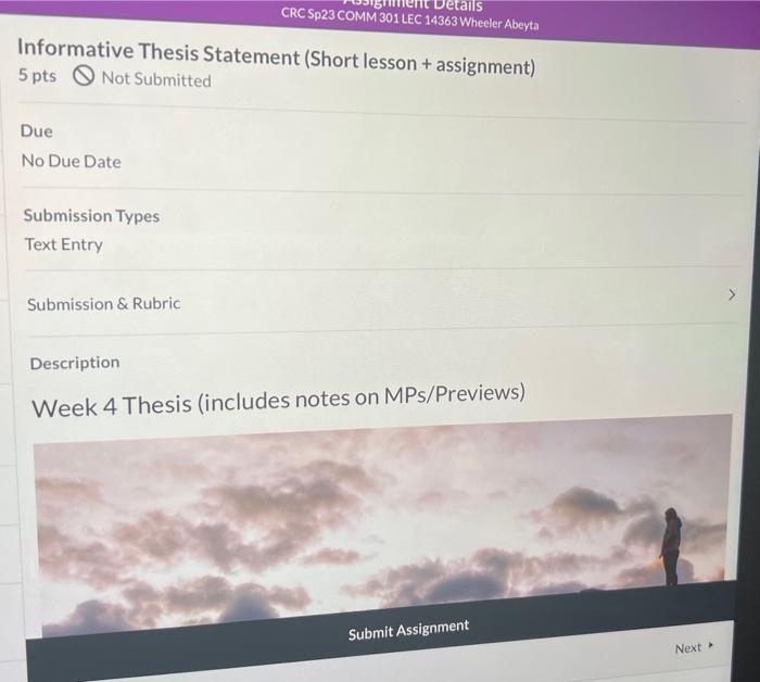 Informative Thesis Statement (Short lesson + | Chegg.com