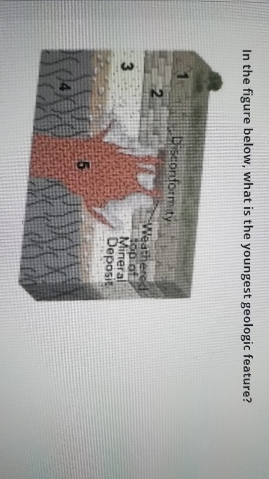 Solved QuesLIUII 25 In the figure below, what is the | Chegg.com