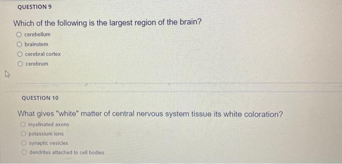 Solved Which of the following neuroglial cell types has an | Chegg.com