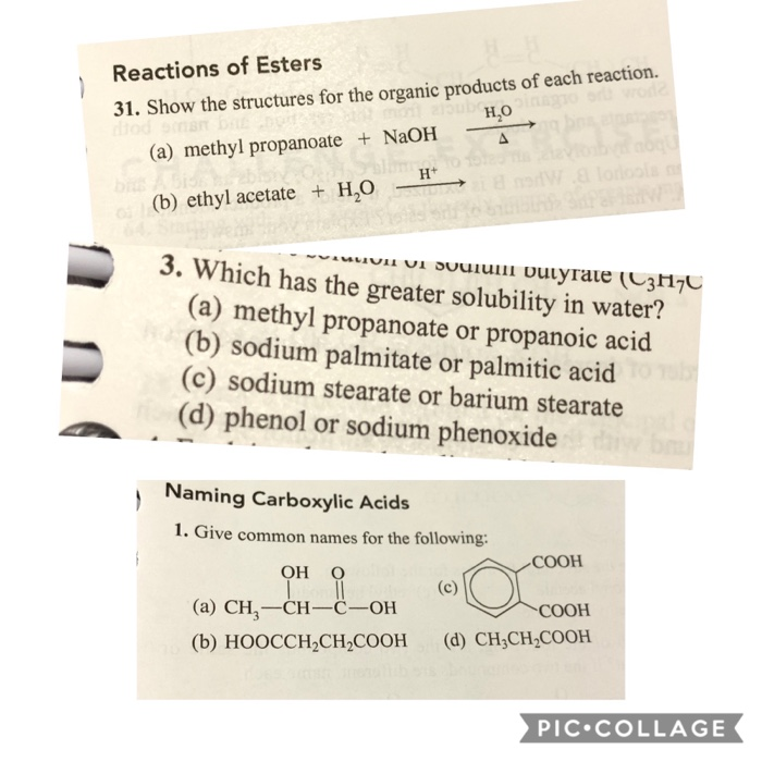Solved Reactions of Esters 31. Show the structures for the | Chegg.com