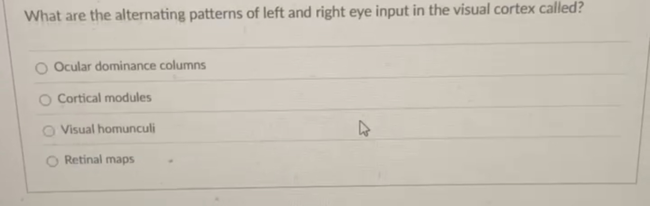 Solved What are the alternating patterns of left and right | Chegg.com