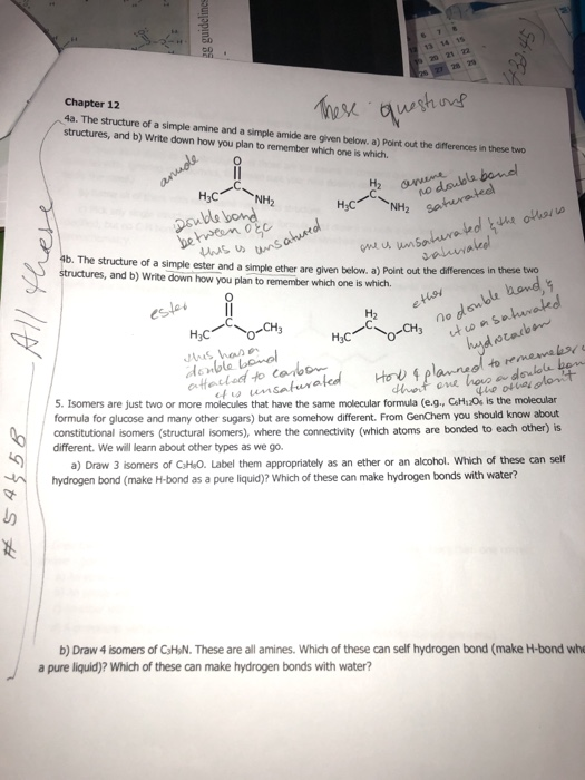 Solved 28 guidelines Chapter 12 40. The structure of a | Chegg.com