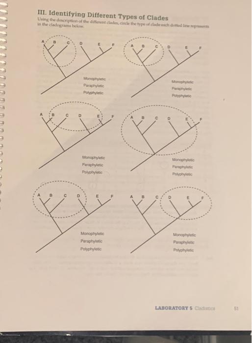 Solved Cladogram Construction Practice Problem: | Chegg.com