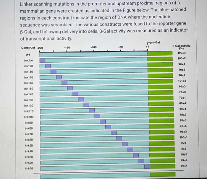 Solved Linker scanning mutations in the promoter and | Chegg.com