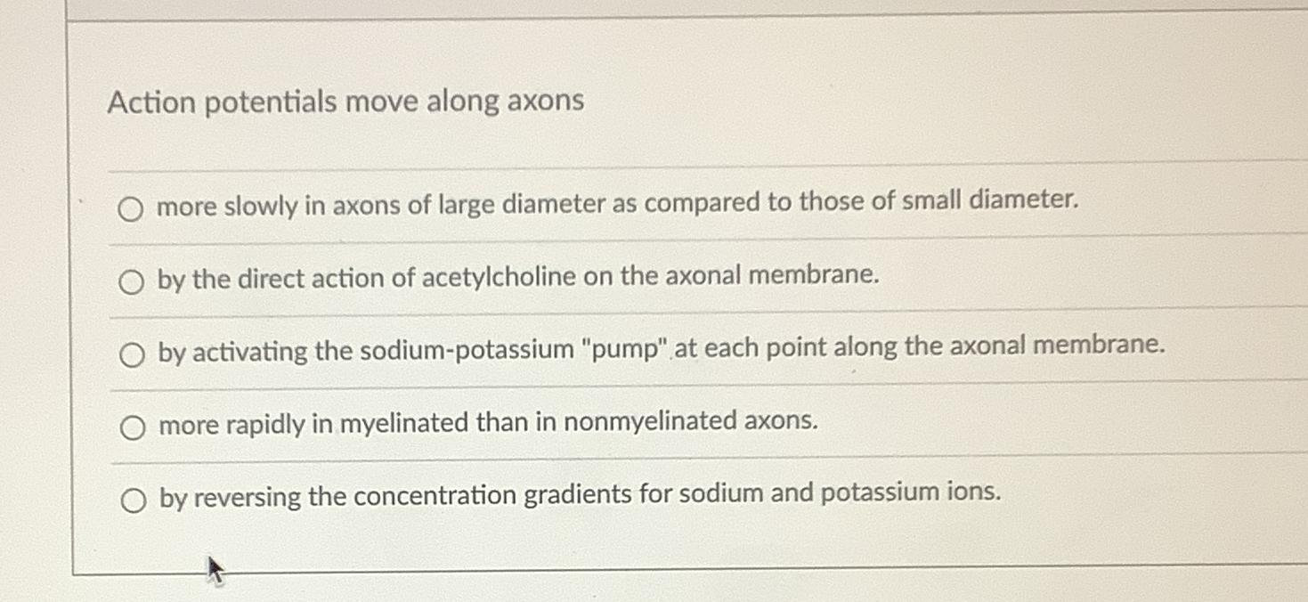 Solved Action potentials move along axonsmore slowly in | Chegg.com