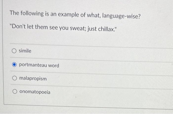 The following is an example of what, language-wise? | Chegg.com
