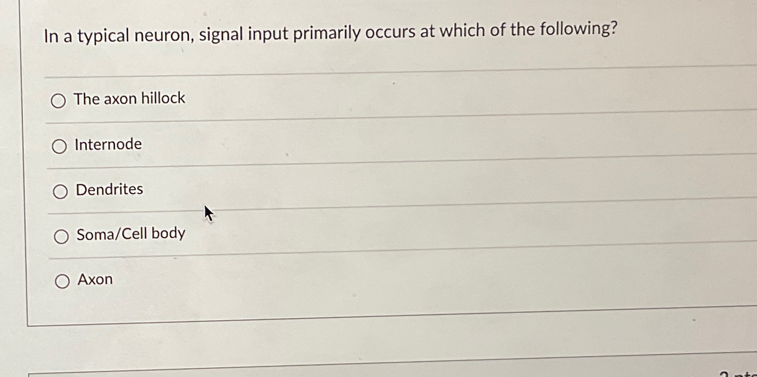 Solved In a typical neuron, signal input primarily occurs at | Chegg.com