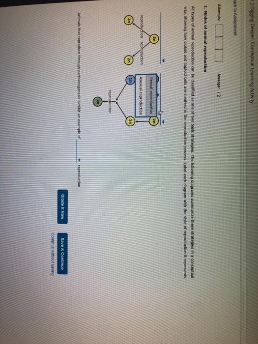 Solved 2 Digging Deeper: Conceptual Learning Activity Hack | Chegg.com