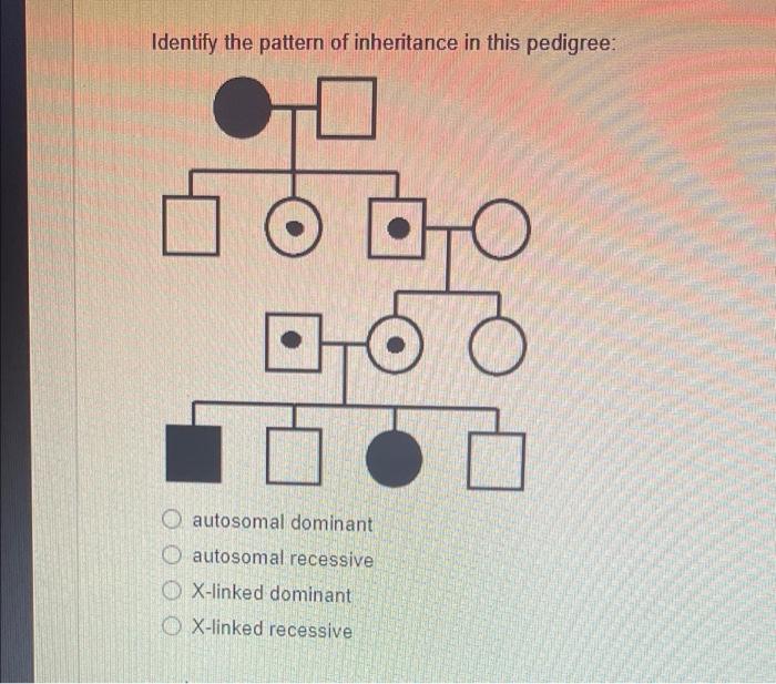 Solved Identify the pattern of inheritance in this pedigree: | Chegg.com