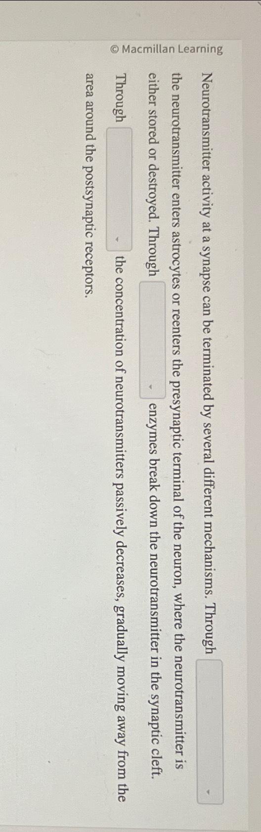Solved E. ﻿Neurotransmitter activity at a synapse can be | Chegg.com