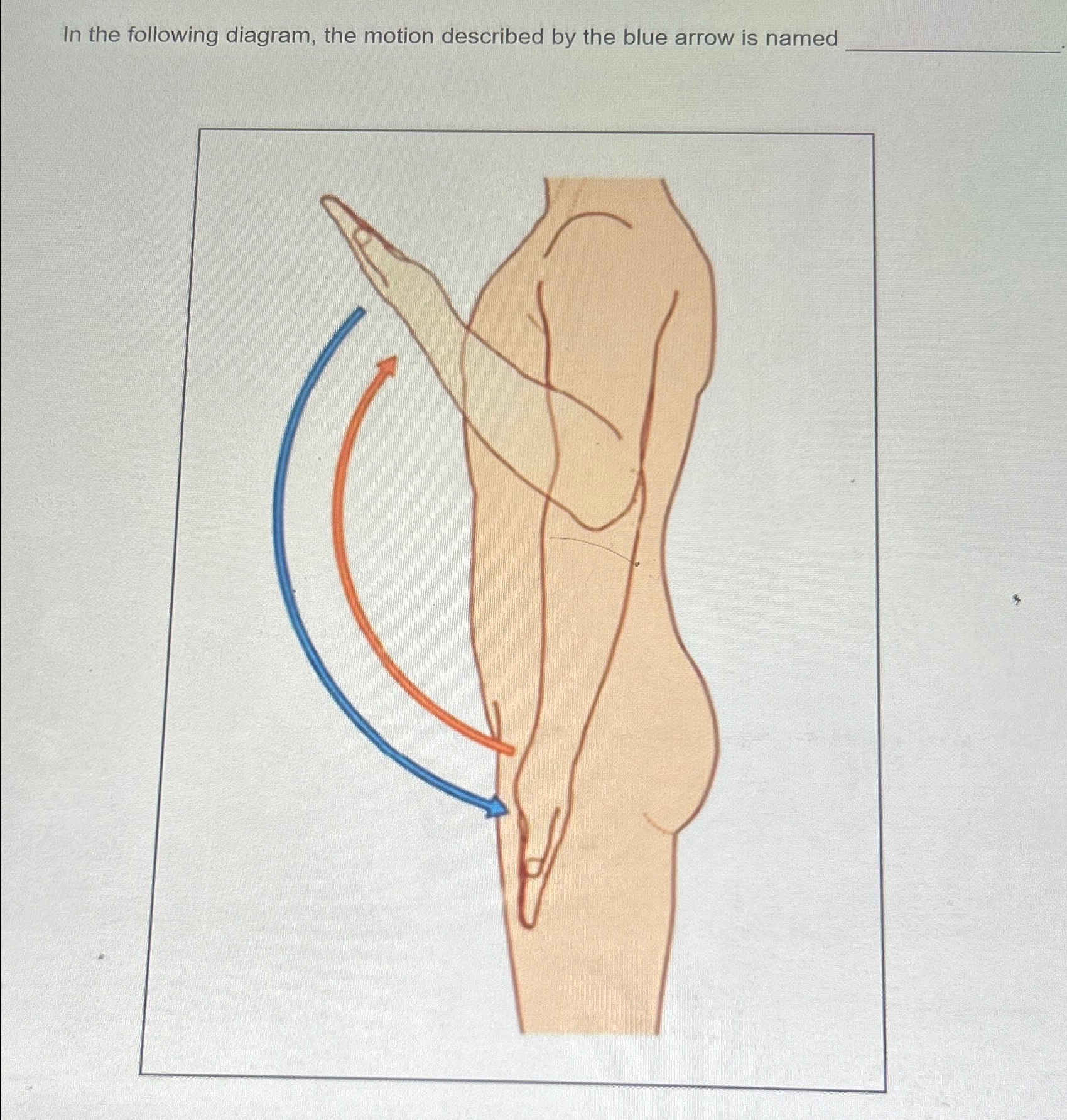 Solved In the following diagram, the motion described by the | Chegg.com