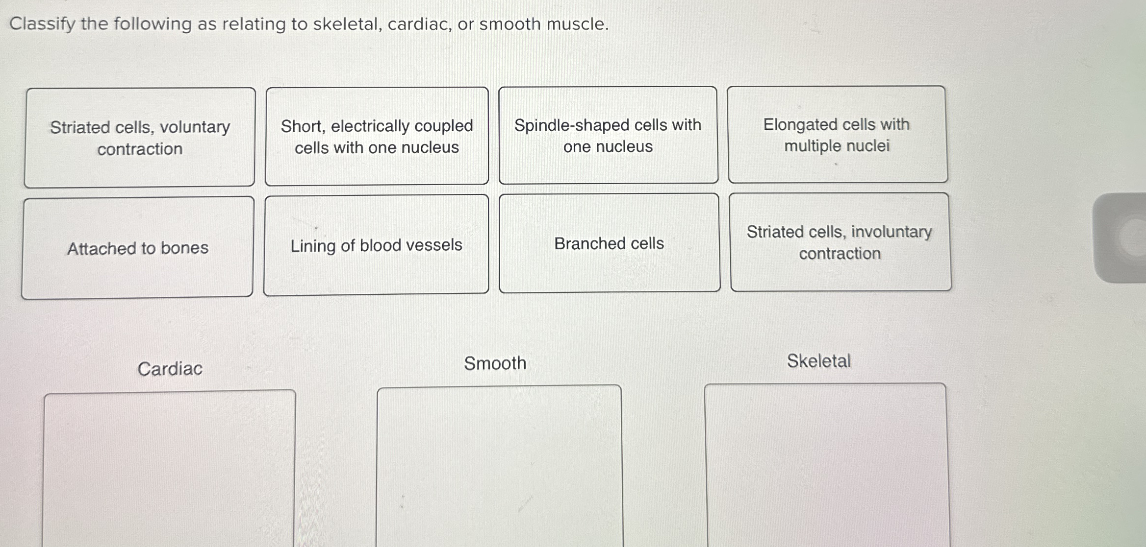 Solved Classify the following as relating to skeletal, | Chegg.com