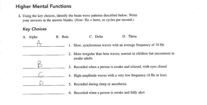 Solved 1. Using the key choices, identify the brain wave | Chegg.com