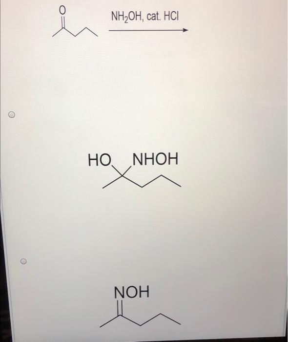 Solved NH4OH, cat. HCI НО. NHOH NOH HO. ONH2 H2N- cat. | Chegg.com