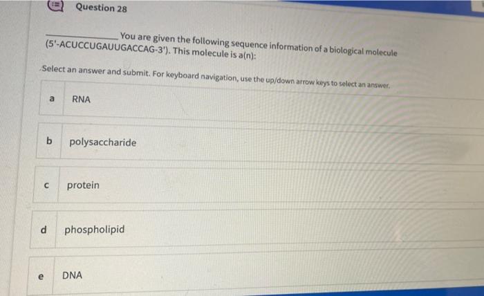 Solved Question 14 During a bacterial genetics experiment | Chegg.com