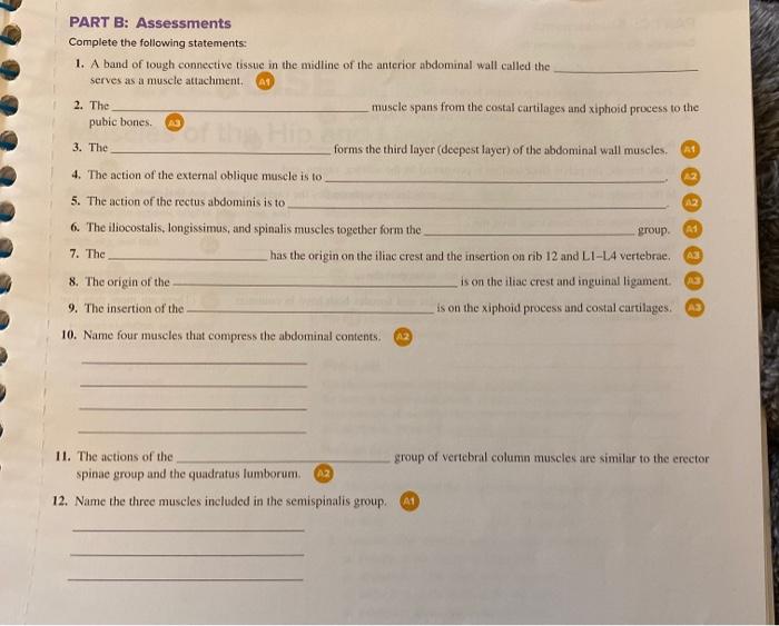 Solved PART B: Assessments Complete the following | Chegg.com