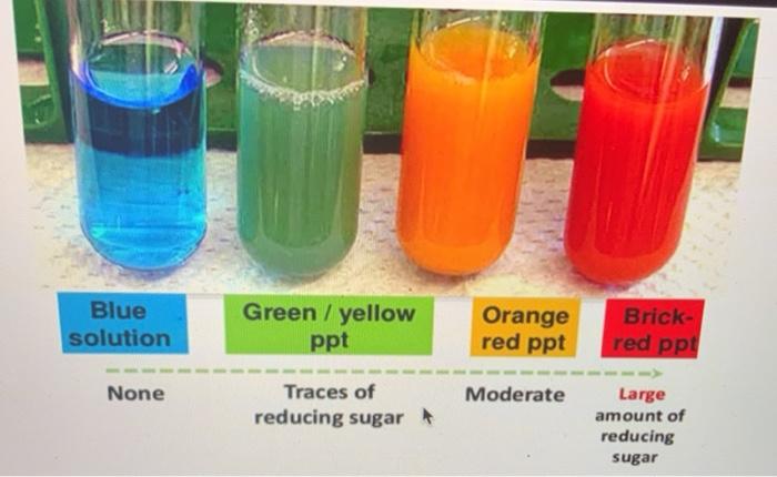 Solved What test result is this?a. Biuret Protein, yes it | Chegg.com