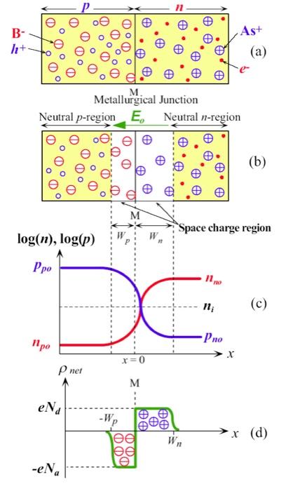 Solved Derive expressions for 1) built-in field | Chegg.com