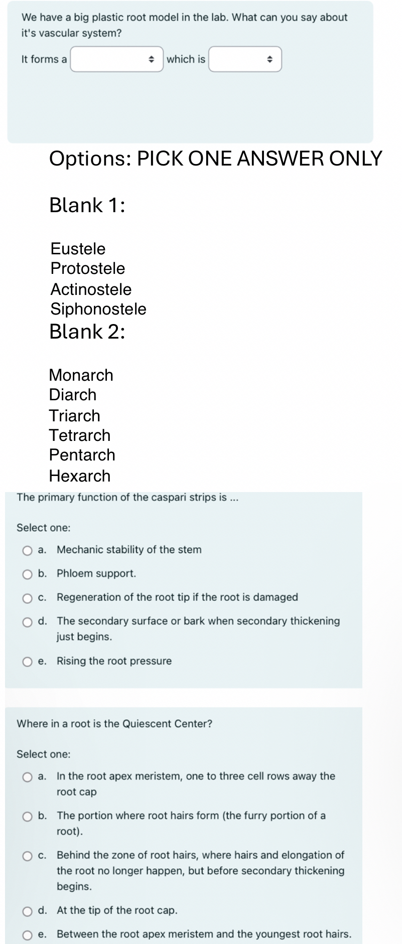 Solved We have a big plastic root model in the lab. What can | Chegg.com