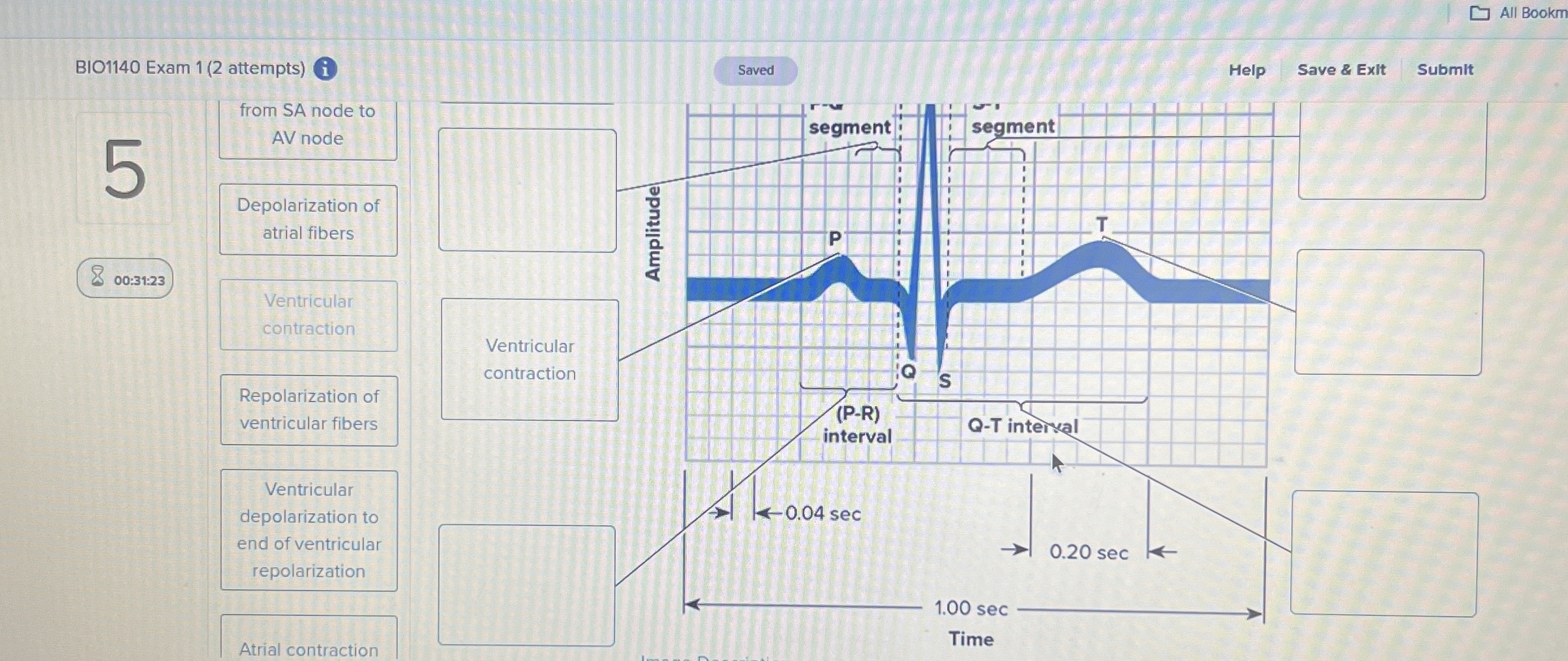 Solved All BookmBIO1140 ﻿Exam 1 (2 ﻿attempts)SavedHelpSave & | Chegg.com