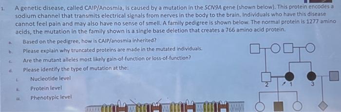 Solved 1. D. b C d. A genetic disease, called CAIP/Anosmia, | Chegg.com