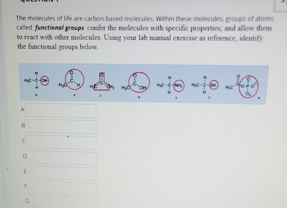 Solved The molecules of life are carbon-based molecules. | Chegg.com