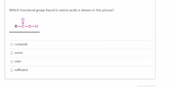 Solved Which functional group found in amino acids is shown | Chegg.com