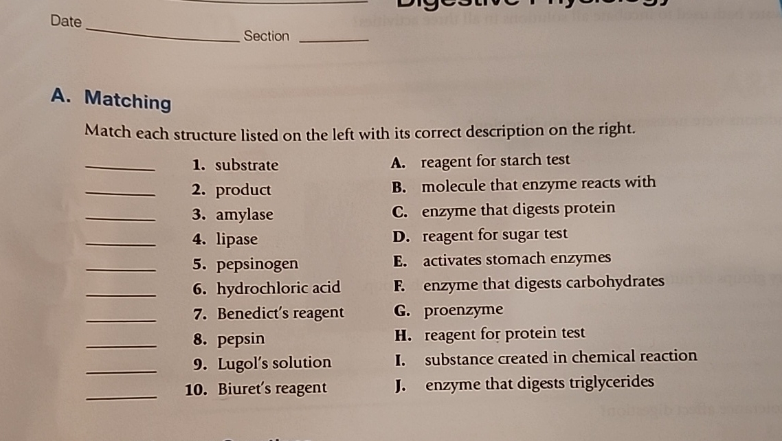 Solved DateSectionq,A. ﻿MatchingMatch each structure listed | Chegg.com