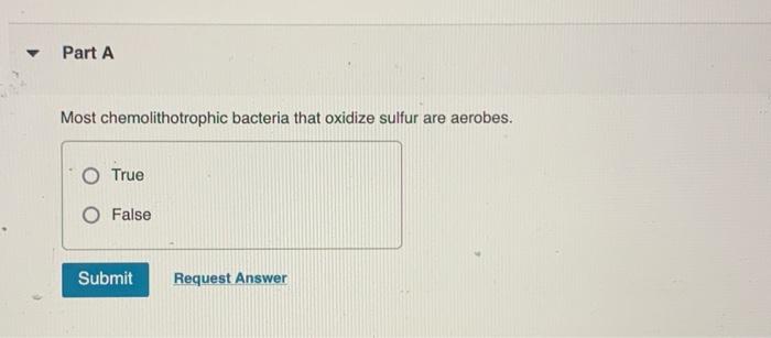 Solved Most chemolithotrophic bacteria that oxidize sulfur | Chegg.com
