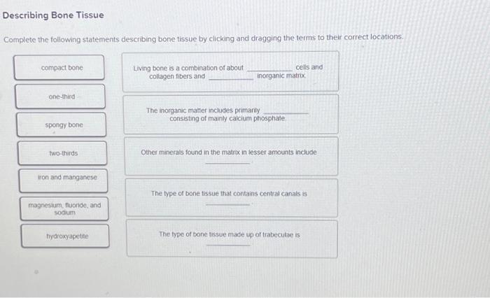 Solved Describing Bone Tissue Complete the following | Chegg.com